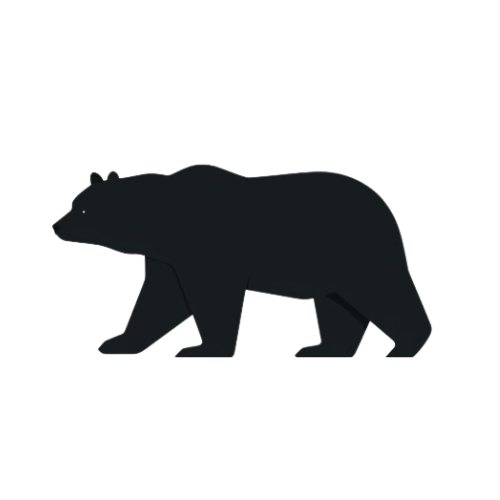 Black Bear - Book an Endorsed Hunt